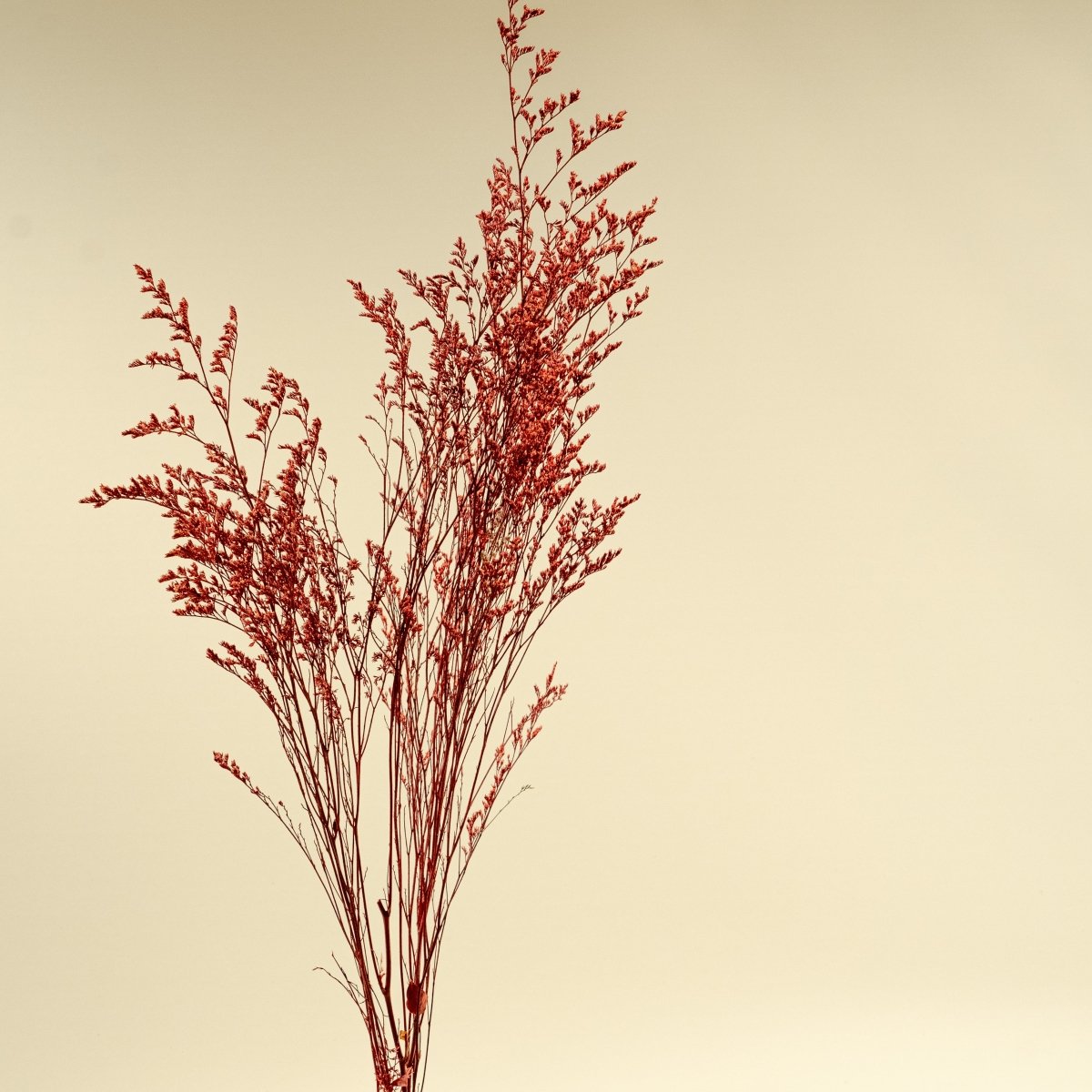 GREENERY – Sola-Flowers