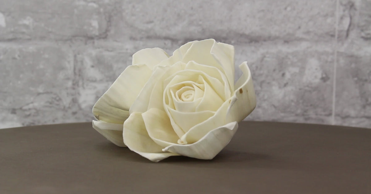 testaroo video product – Sola-Flowers