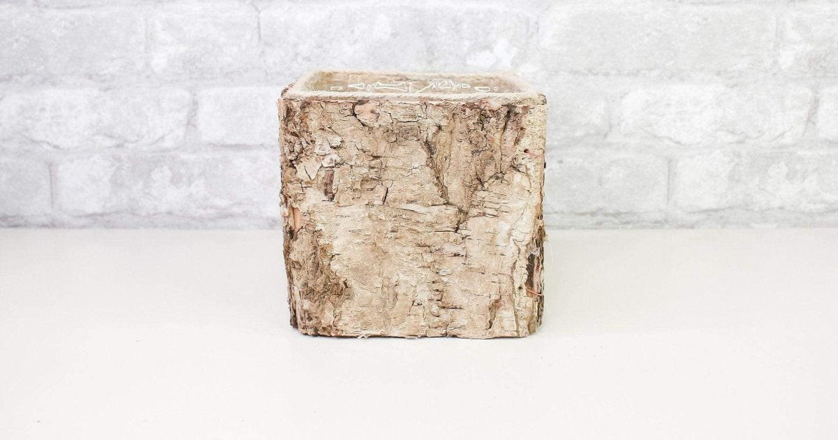Square Birch Container – Sola Wood Flowers