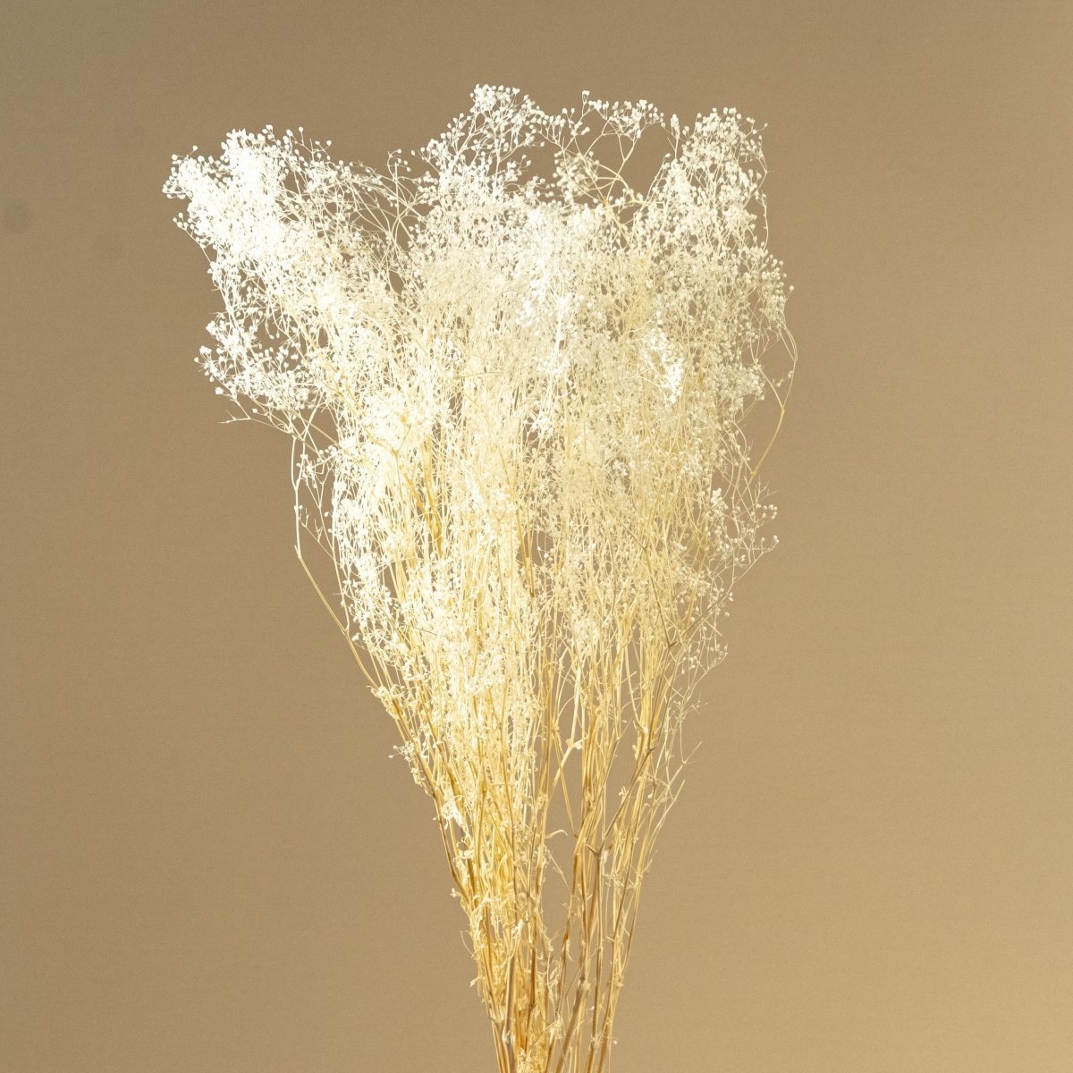 Wholesale Platinum Bundle – Sola Wood Flowers
